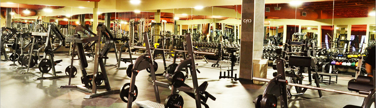 Las Vegas Personal Trainer | Tony Pearson